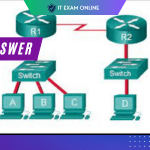 CCNA 1 v7.0 - Introduction to Networks v7 (ITN) - It Exams Online