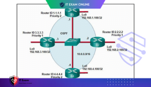 CCNA 3 v7 Modules 1 – 2: OSPF Concepts and Configuration Exam Answers - Enterprise Networking ...